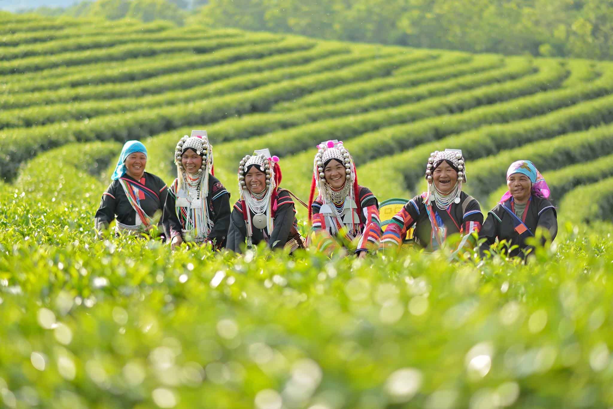 Pha Hi Village - Thai Holidays