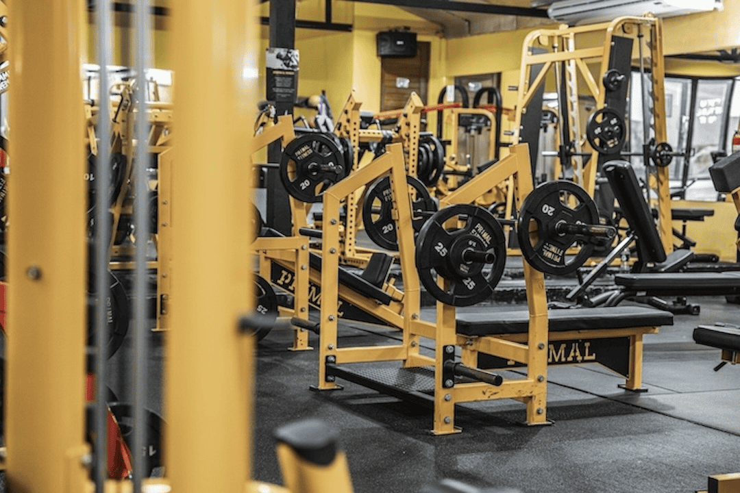 Soi Taied: A Guide to Phuket's Fight & Fitness Street - Thai Holidays